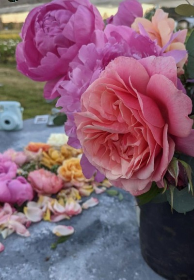Flower Therapy with Roses - Triple Wren Farms