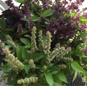 Our Favorite Foliage for the Best Bouquets - Triple Wren Farms