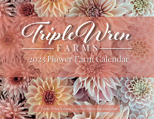 2023 Dahlia Farm Calendar - Triple Wren Farms