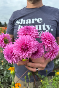 Legacy Dahlias from Paul Bloomquist - Triple Wren Farms